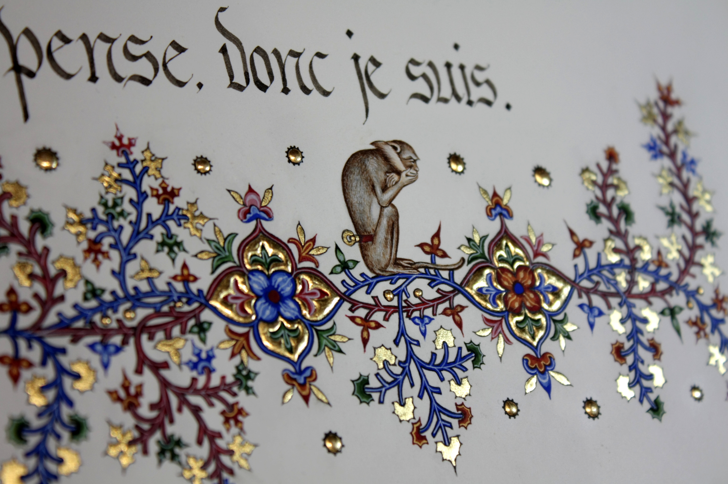 ENLUMINURE - illuminare