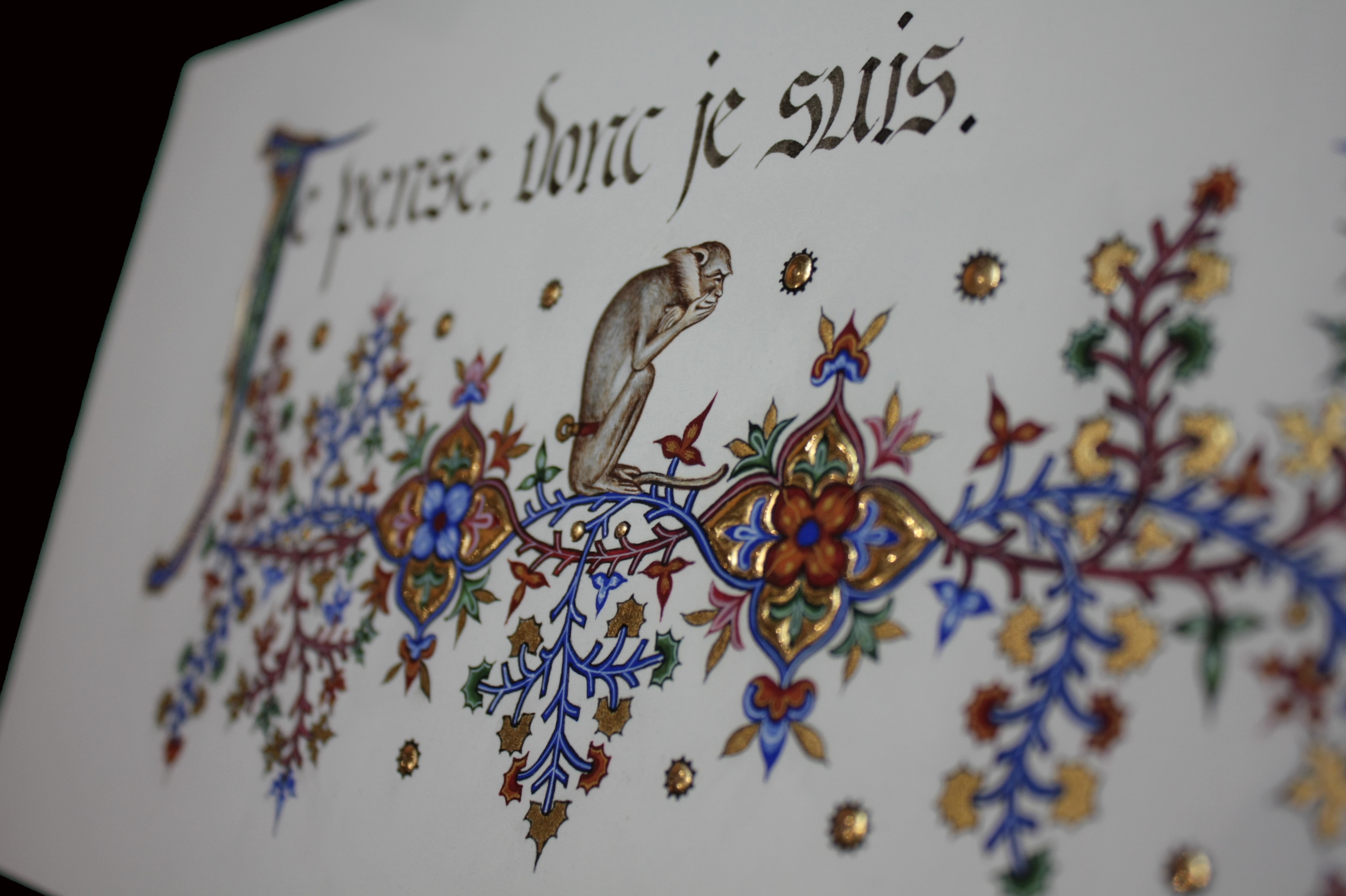 ENLUMINURE - illuminare